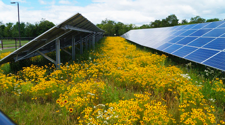 Solar PV, Agriculture, and Enhancing Pollinator Habitats | 667 per ...